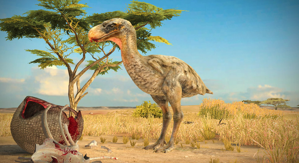 Terror birds - 3D model - Mozaik digitalno obrazovanje i učenje