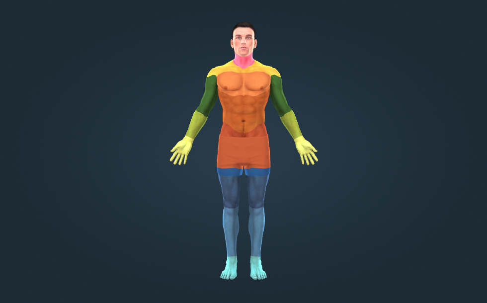 Delovi ljudskog tela (za decu) - 3D model - Mozaik digitalno ...