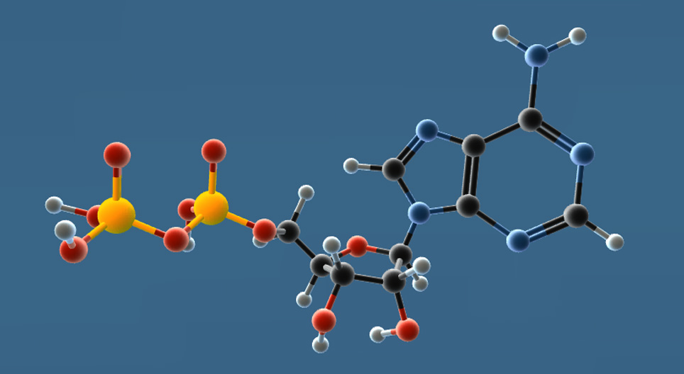 ATP, ADP - 3D model - Mozaik digitalno obrazovanje i učenje