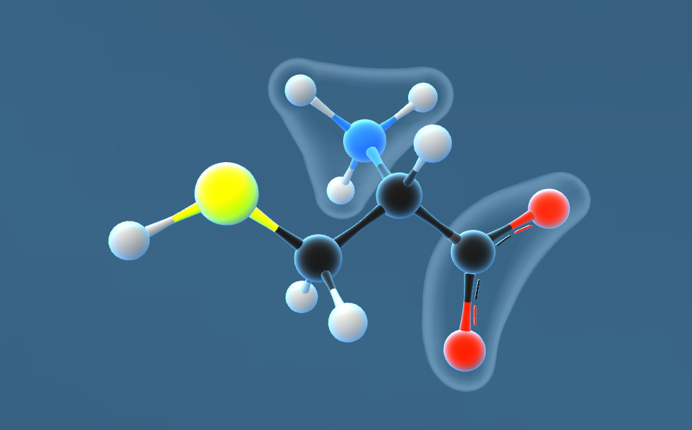 Cistein - 3D model - Mozaik digitalno obrazovanje i učenje