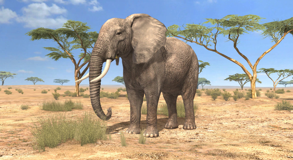 Afrikansk elefant - 3D-scen - Mozaik Digital utbildning och lärande