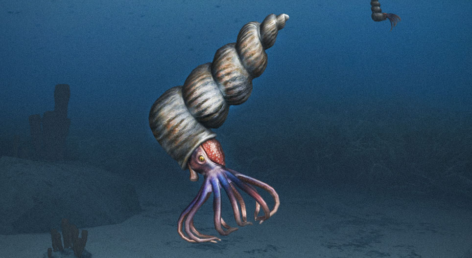 Ammoniter - 3D-scen - Mozaik Digital utbildning och lärande