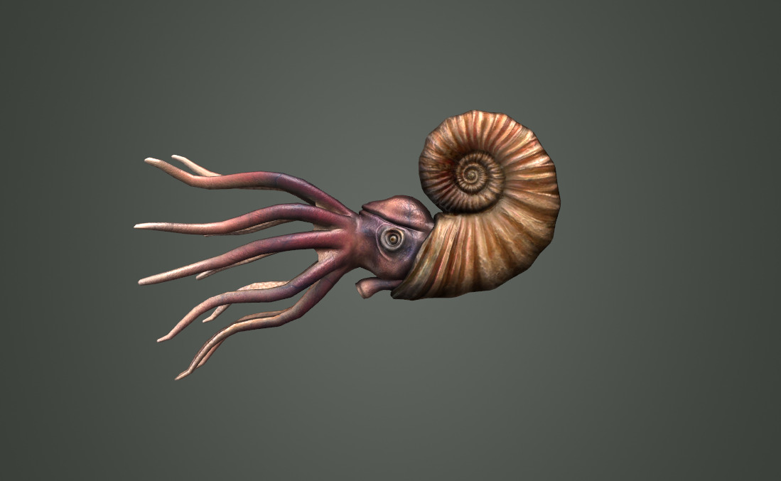 Ammoniter - 3D-scen - Mozaik Digital utbildning och lärande