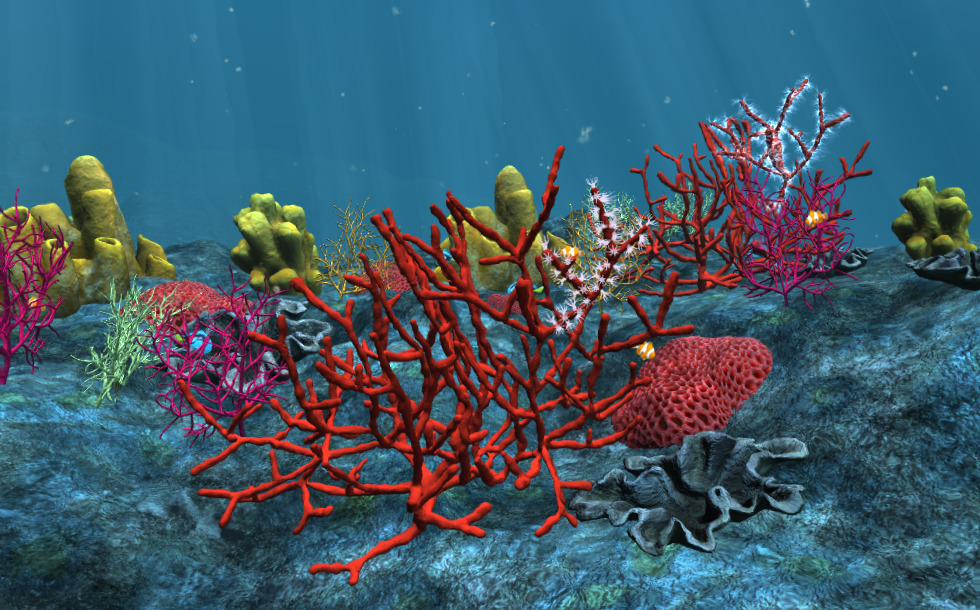 Precious coral - 3D-scen - Mozaik Digital utbildning och lärande