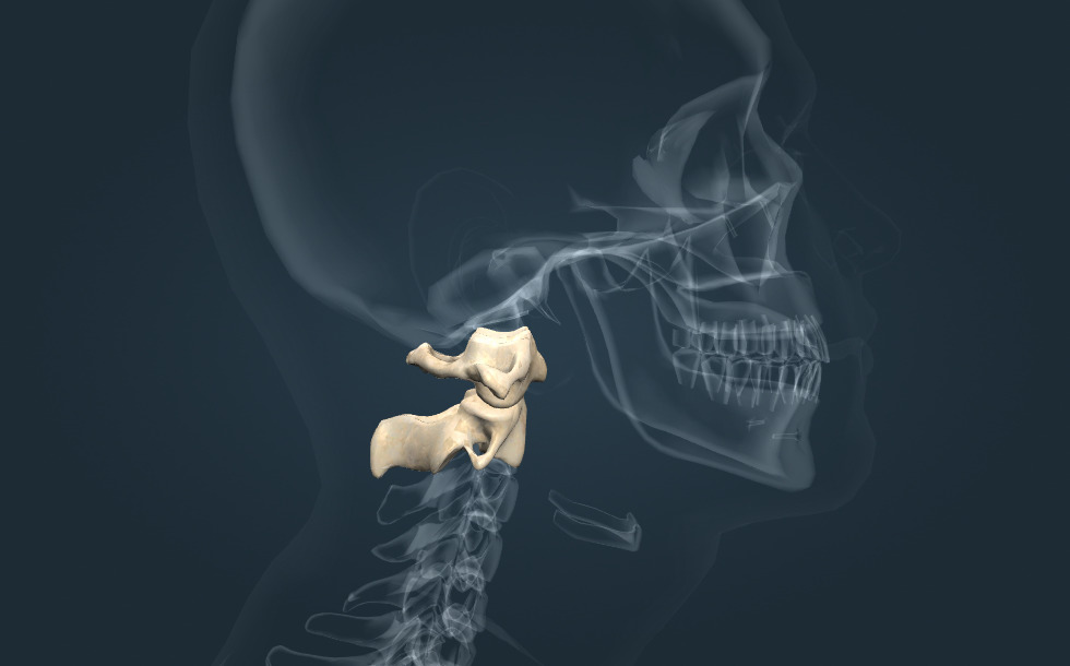 Huvudets rörelser - 3D-scen - Mozaik Digital utbildning och lärande