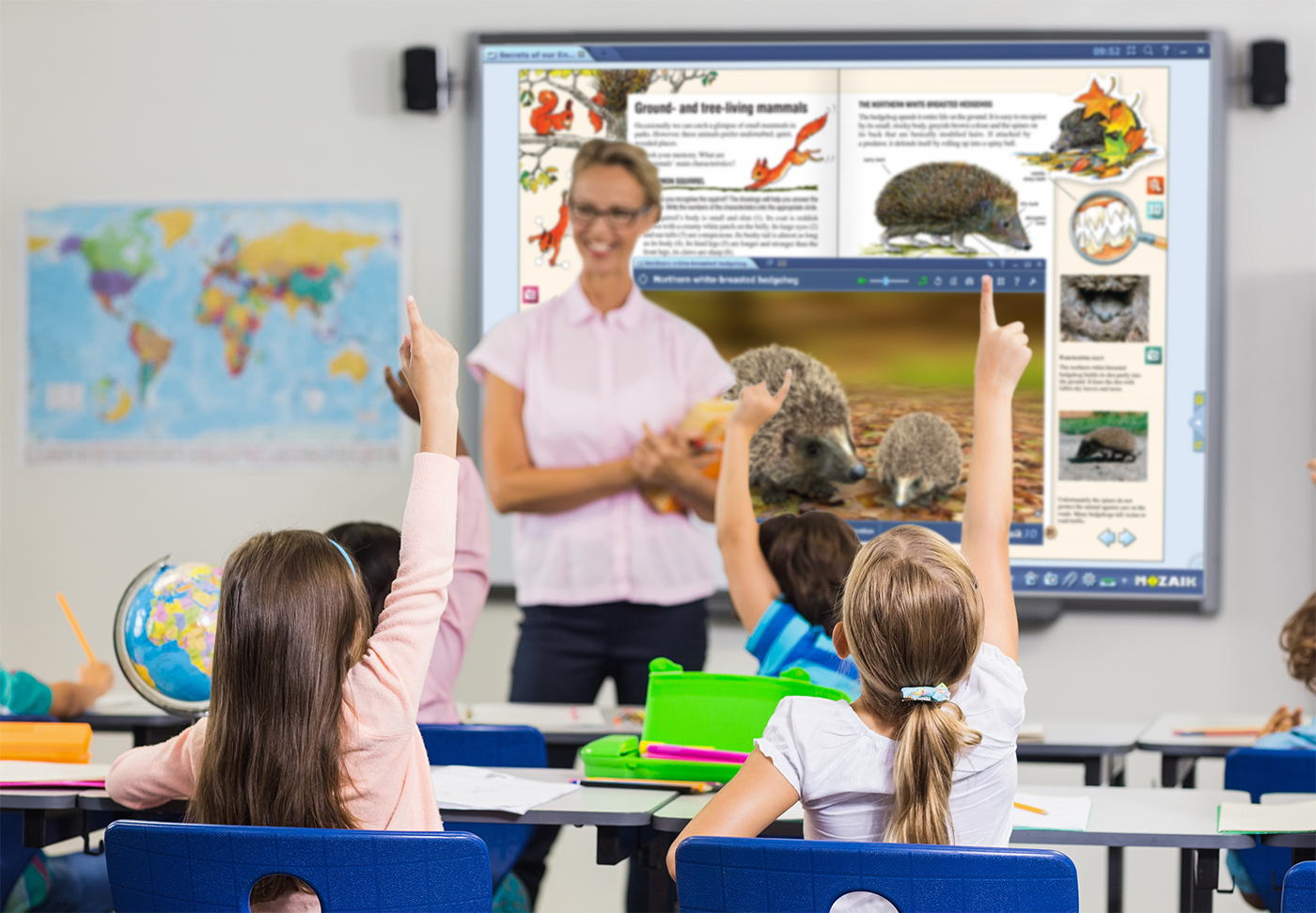 Mozaik Digital Learning