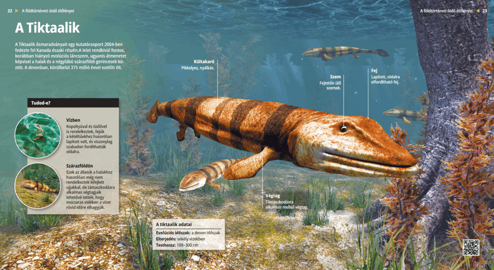 Tiktaalik - บทเรียนดิจิทัล - การศึกษาและการเรียนรู้ดิจิทัลของ Mozaik