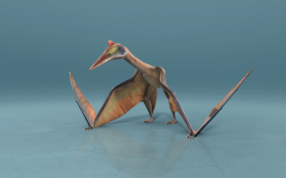 Quetzalcoatlus, a giant pterosaur - สื่อ 3D - การศึกษาและการเรียนรู้ ...