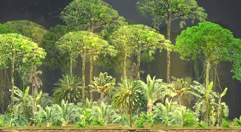 Deforestation - สื่อ 3D - Mozaik Digital Learning