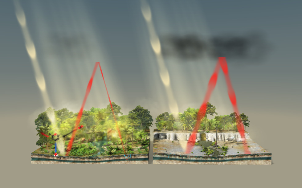Deforestation - สื่อ 3D - Mozaik Digital Learning