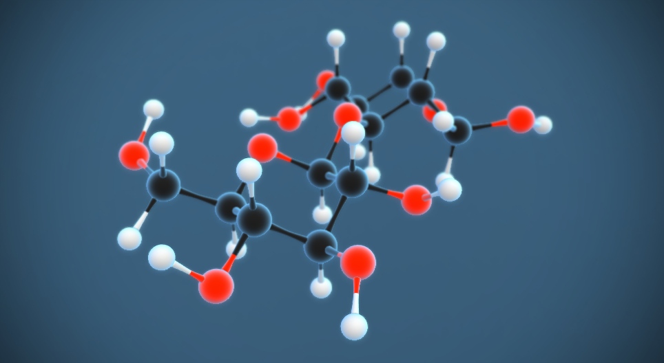 Molecule exercise VI (Carbohydrates) - สื่อ 3D - การศึกษาและการเรียนรู้ ...