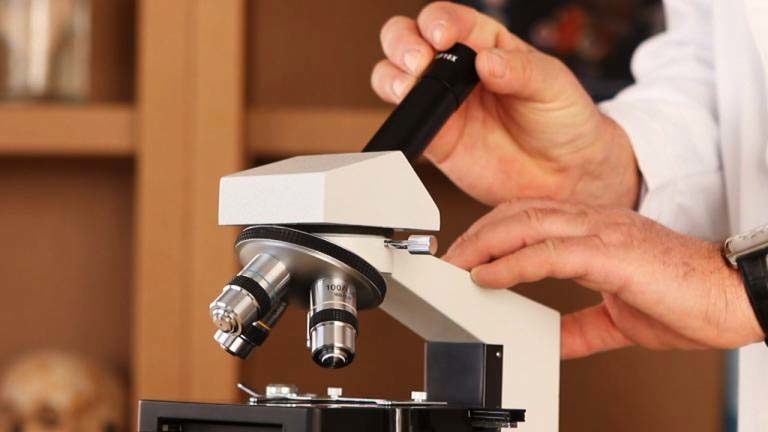 Optical microscopes - video - Mozaik Dijital Eğitim ve Öğrenme