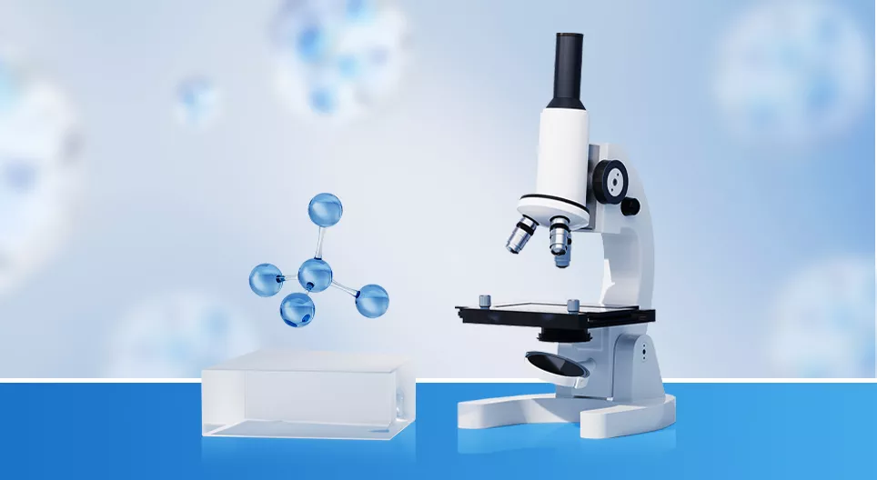 How to use a microscope? - Цифрові уроки - Цифрова освіта та навчання ...