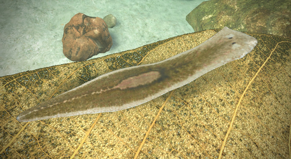 Молочно - біла планарія - 3D-сцена - Цифрова освіта та навчання від Mozaik